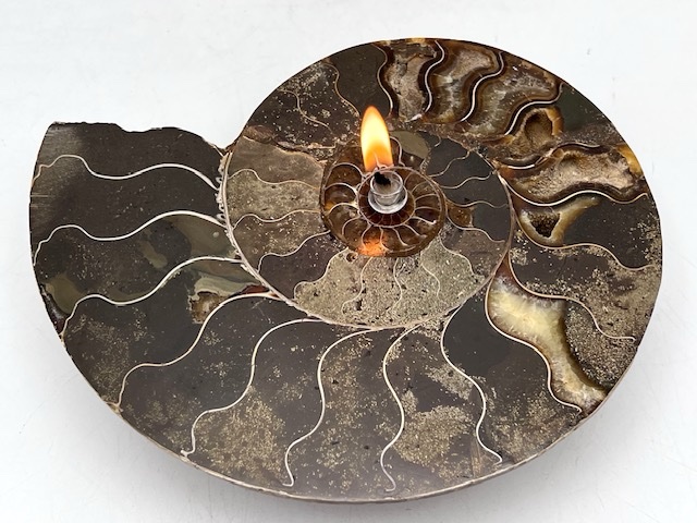 ammonite-candle-lamp